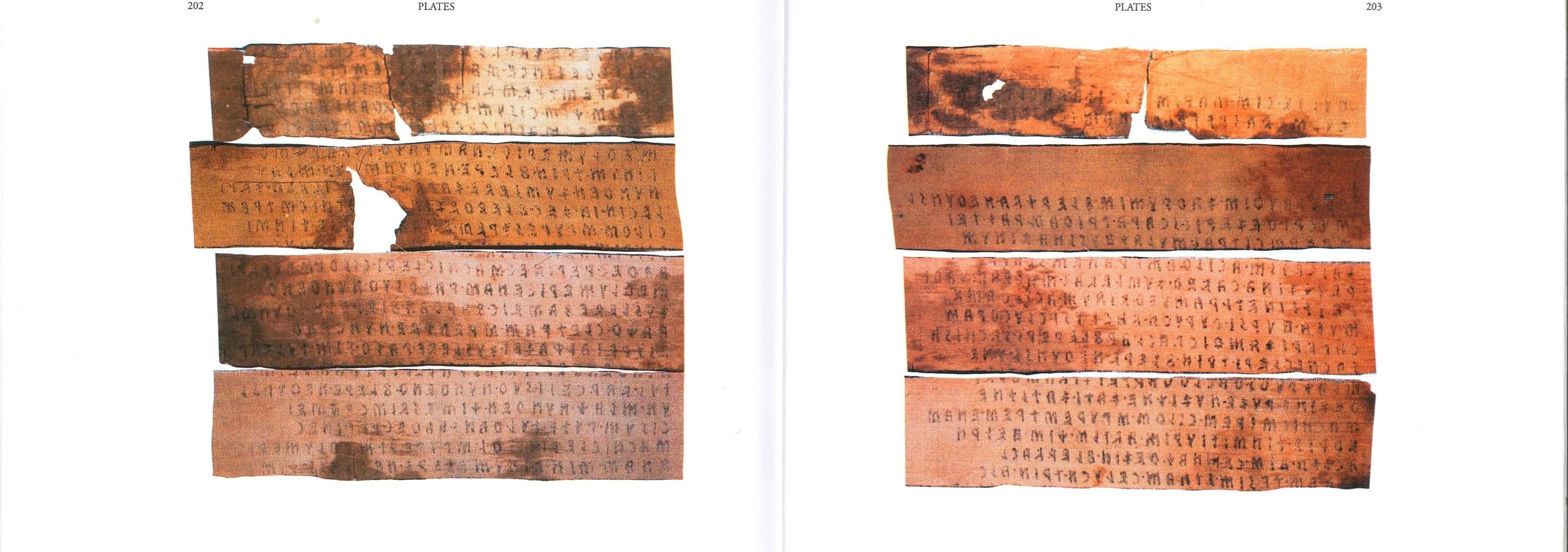 Osque, étrusque, ombrien : des langues mortes renaissent de leurs ...